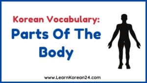 Body Parts In Korean - LearnKorean24